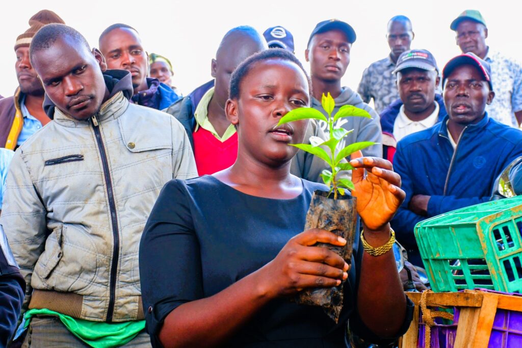 Women-Led Coffee Initiative Lifts Rural Livelihoods in Nandi ...